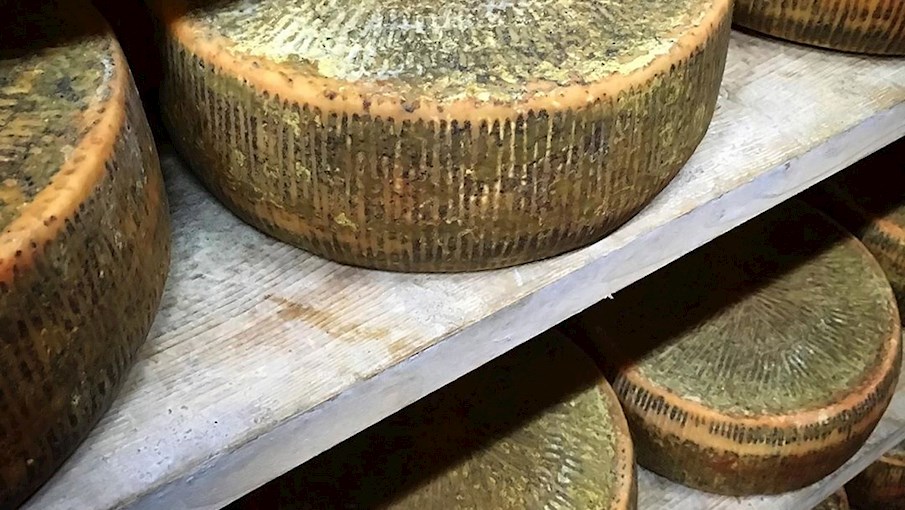3 Best Cow's Milk Cheeses in Sicily - TasteAtlas