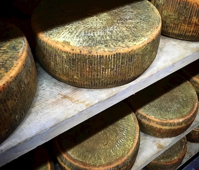 Italian Hard Cheeses: 63 Hard Cheese Types in Italy | TasteAtlas