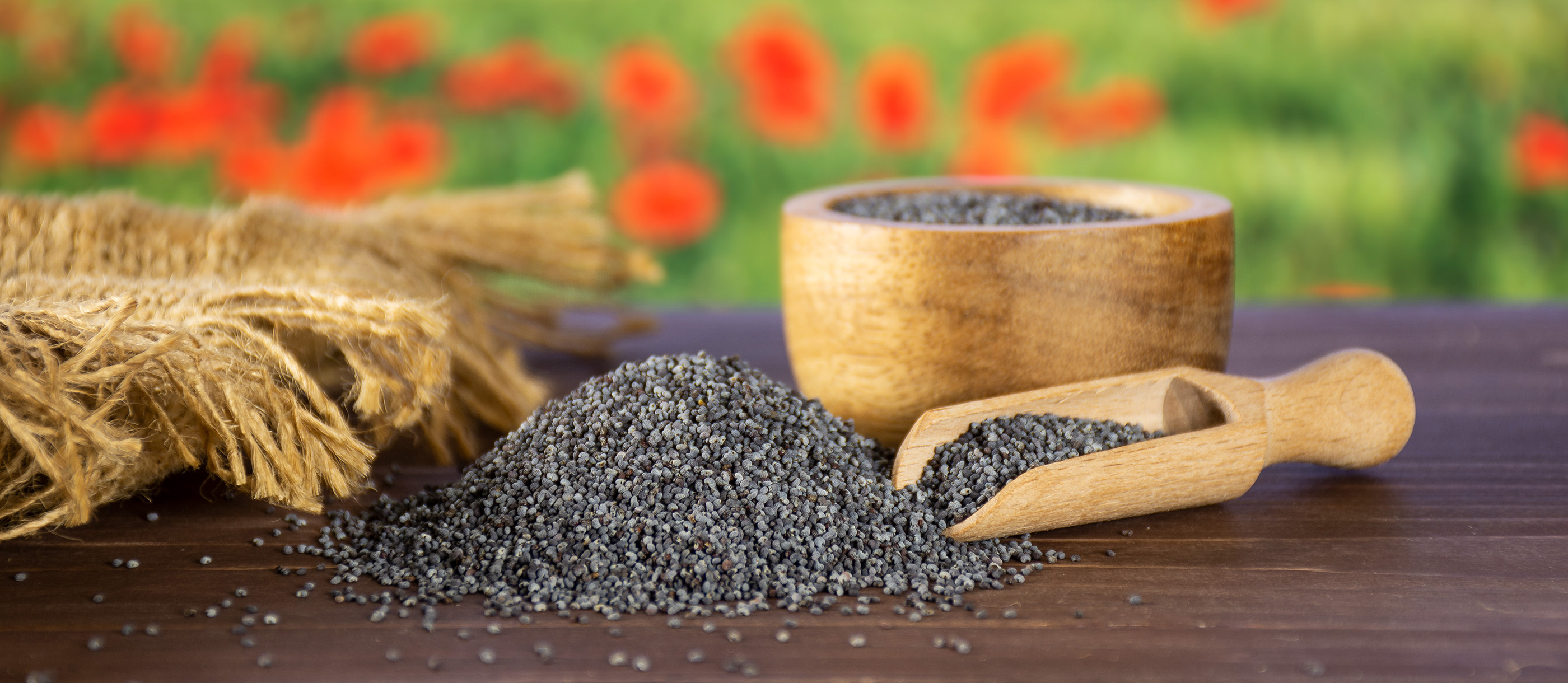 Český Modrý Mák | Local Poppy Seeds From Czech Republic