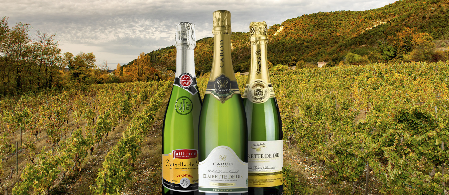 Clairette de Die | Local Wine Appellation From Drôme, France