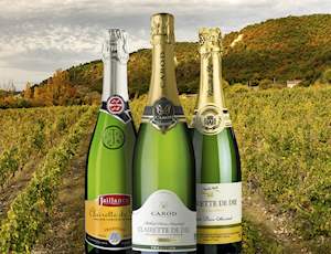World Sparkling Wine Map | 25 World Sparkling Wines | TasteAtlas