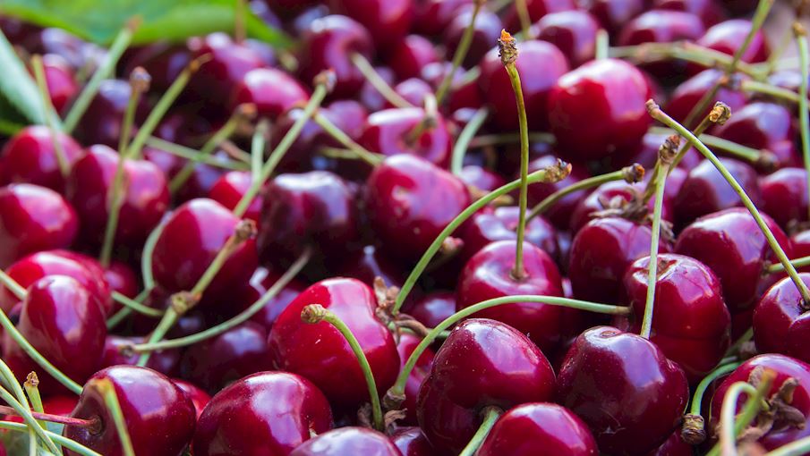 4 Most Popular Austrian Fruits (Types and Products) - TasteAtlas