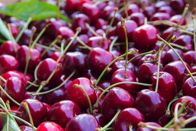 Cherries of the World: 17 Cherries Types | TasteAtlas