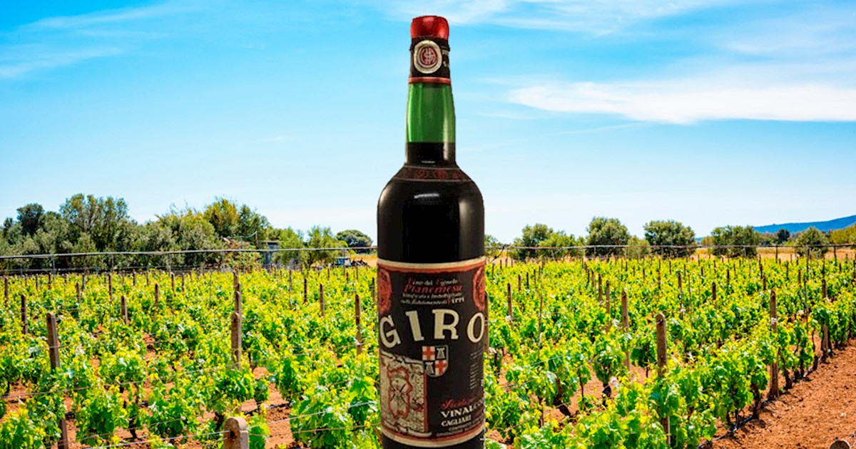 Girò | Local Wine Variety From Sardinia, Italy