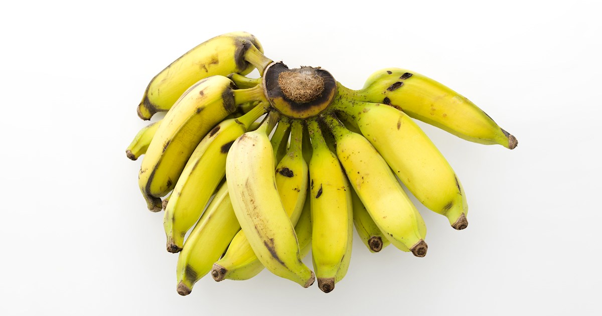 Manzano Banana | Local Banana From Central America