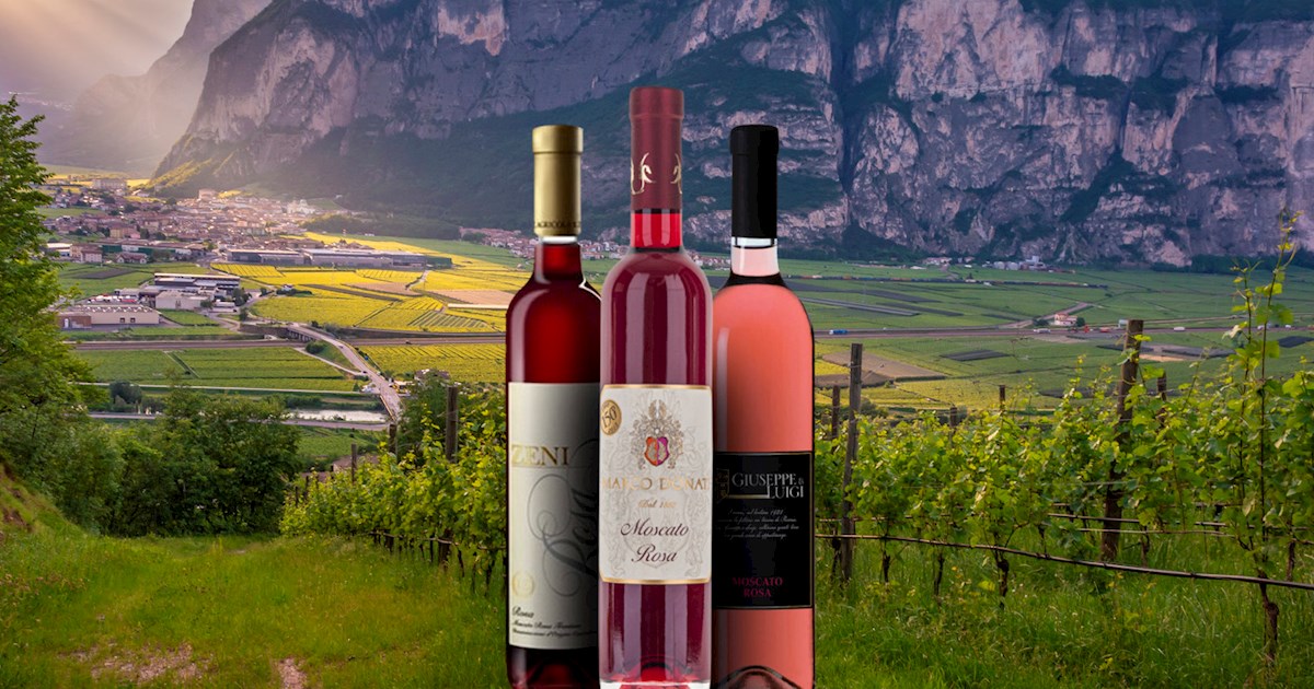 Moscato Rosa | Local Wine Variety From Trentino-South Tyrol, Italy