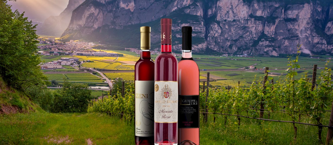 Moscato Rosa | Local Wine Variety From Trentino-South Tyrol, Italy