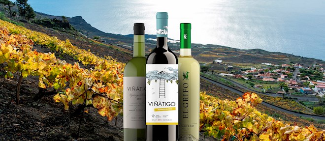 Spanish Wine Varieties: 24 Wine Variety Types in Spain | TasteAtlas