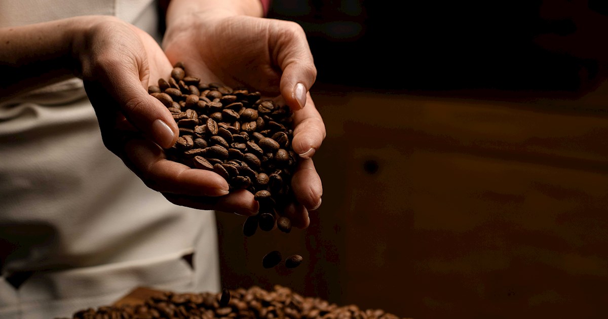 Arabica | Local Coffee Beans From Ethiopia