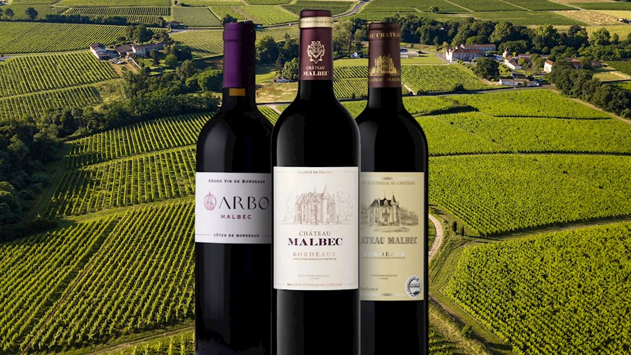 8 Best Wines in Bordeaux - TasteAtlas