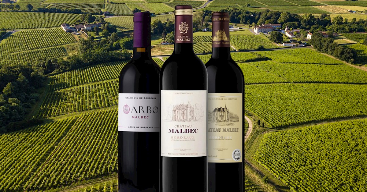 8 Best Wines in Bordeaux - TasteAtlas