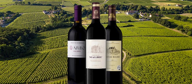Red Grapes of the World: 69 Red Grapes Types | TasteAtlas
