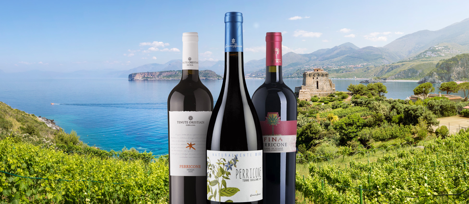Perricone | Local Wine Variety From Sicily, Italy