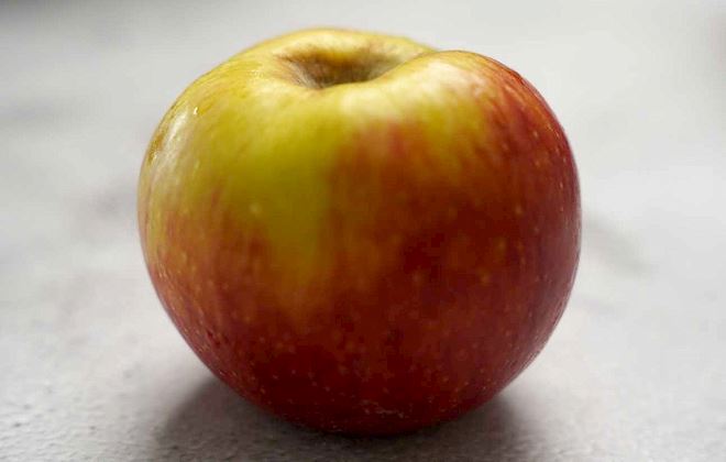 European Fruits (types and products): 148 Fruits (types and products ...