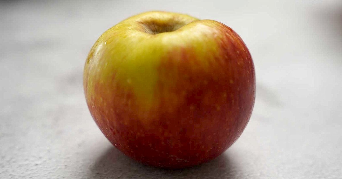 33 Worst Rated Apples in the World - TasteAtlas