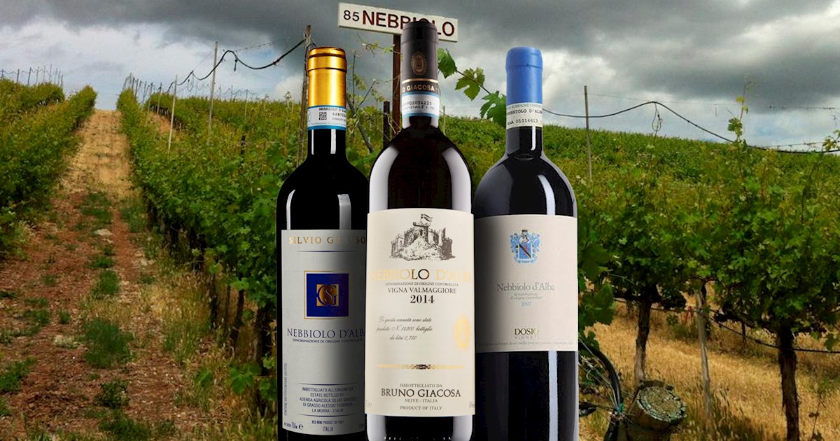 Nebbiolo D’Alba | Local Wine Appellation From Piedmont, Italy
