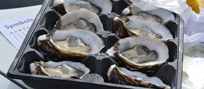 Australian Shellfishes: 7 Shellfish Types in Australia | TasteAtlas