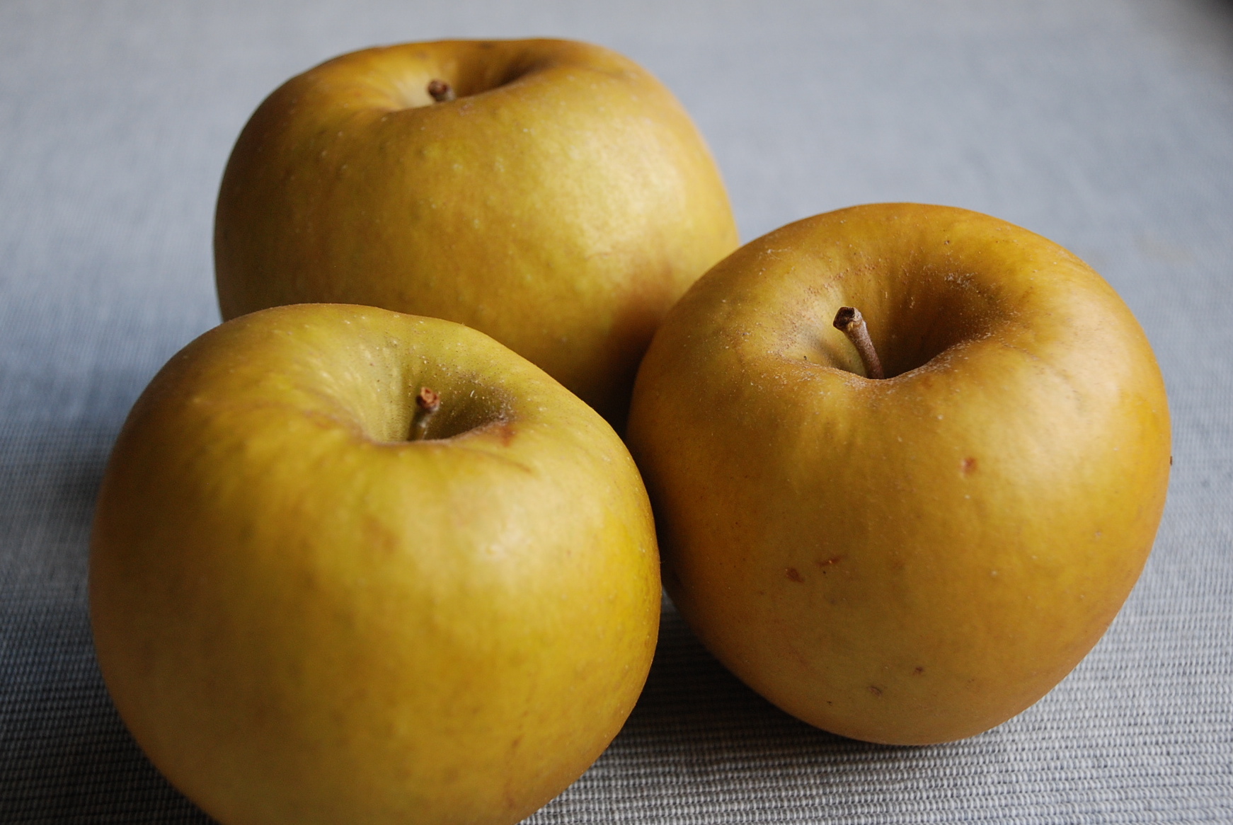 Razor Russet Apples | Local Apple From Wallingford, United States of ...