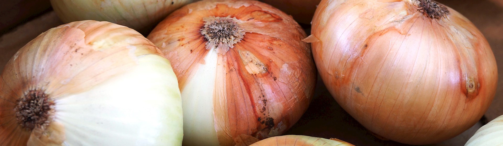 5 Best Vegetables in the Western United States - TasteAtlas