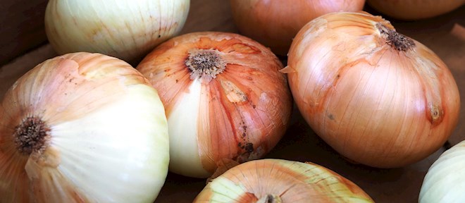 Bulb Vegetables of the World: 100 Best Bulb Vegetables, Bulb Vegetable ...