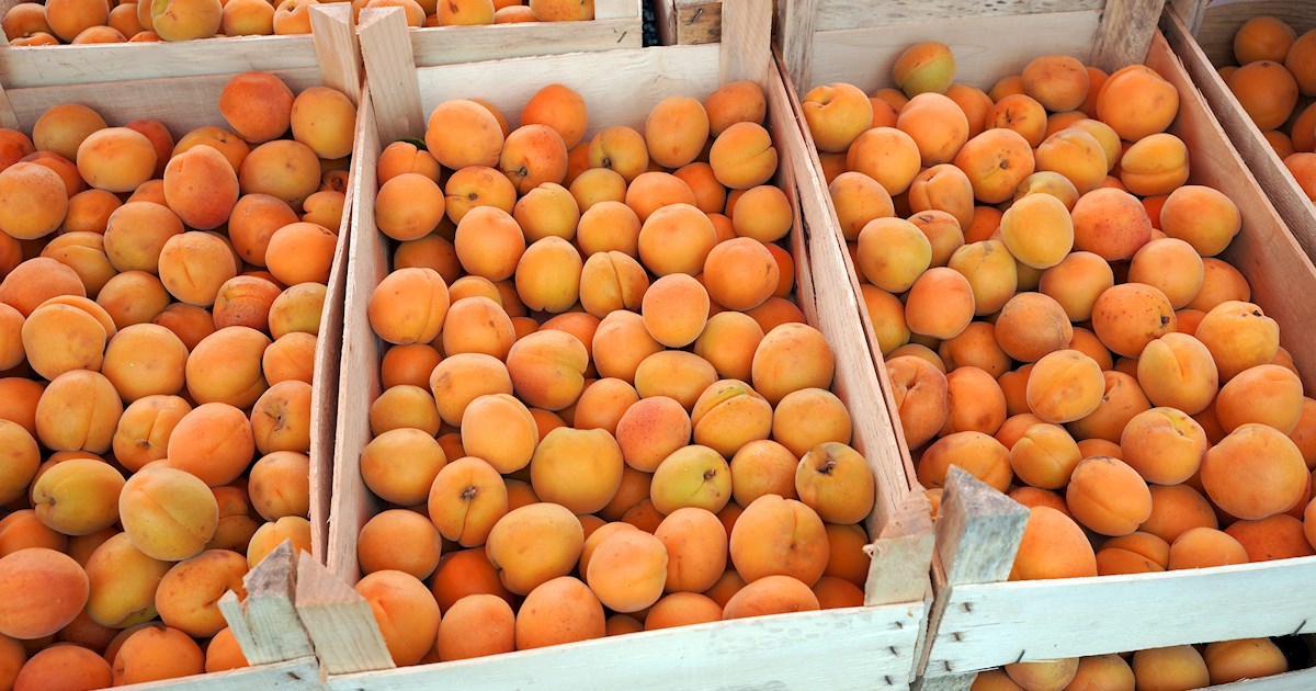 5 Best Apricots in Western Europe - TasteAtlas