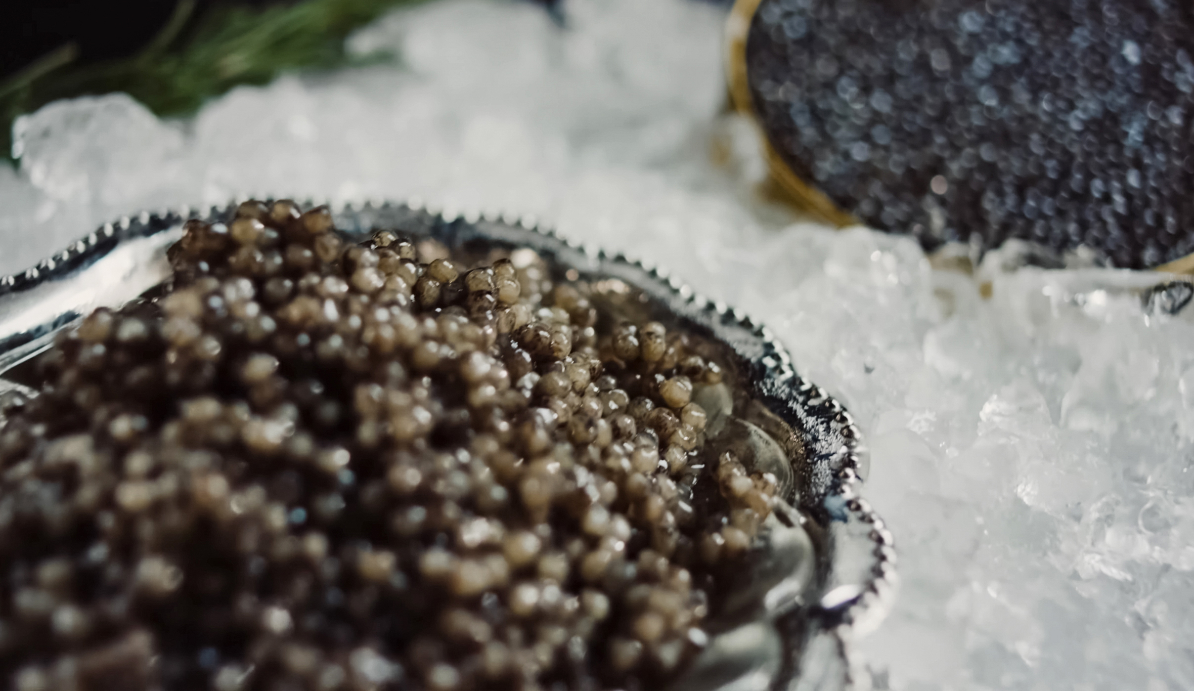 Sterlet Caviar | Local Caviar From Russia, Eastern Europe