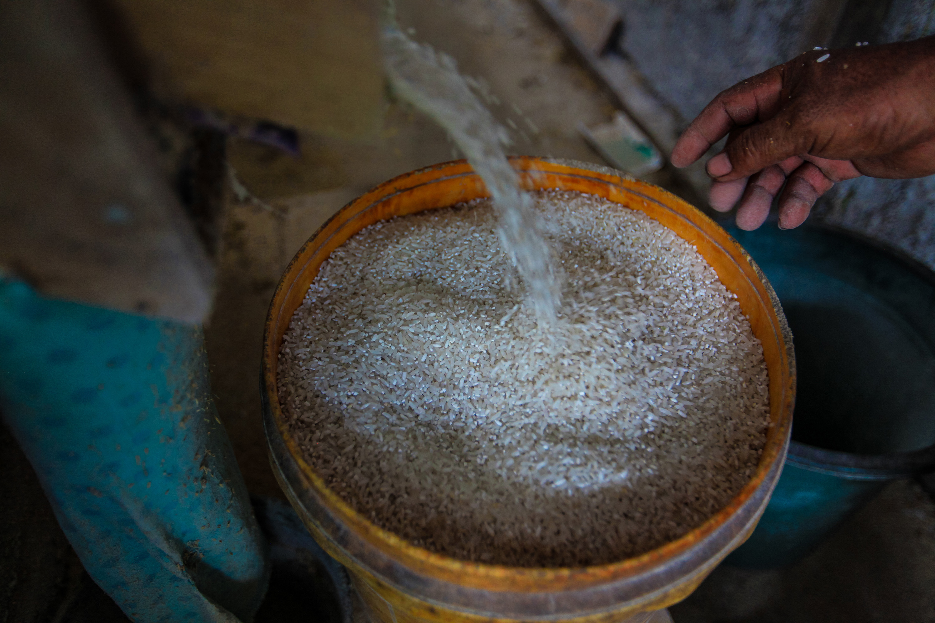 Samba Rice | Local Rice From Sri Lanka