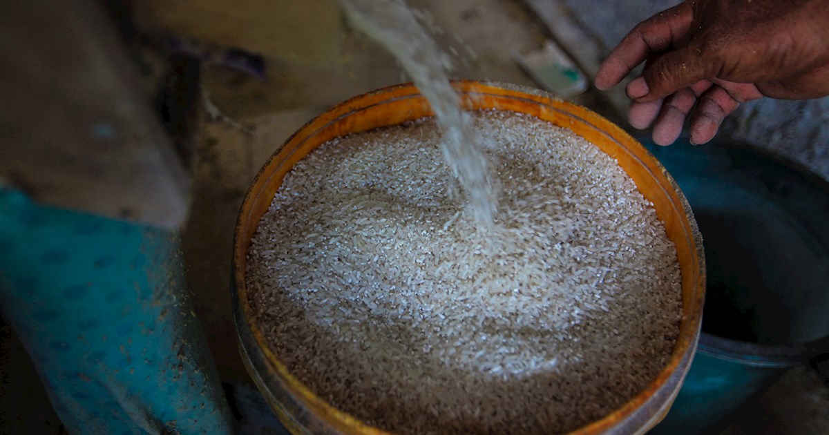 Samba Rice | Local Indica Rice From Sri Lanka | TasteAtlas