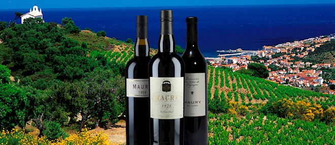 Fortified Wines of the World: 75 Fortified Wine Types | TasteAtlas