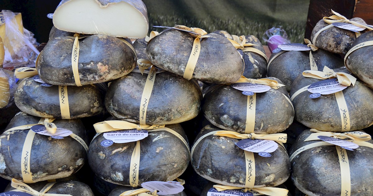 Sarró de Cabra | Local Cheese From Moià, Spain