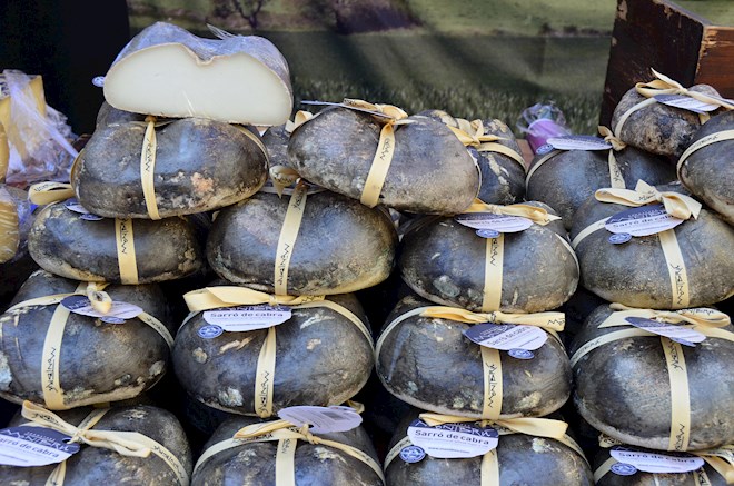 Catalan Goat Cheeses: 5 Goat Cheese Types in Catalonia | TasteAtlas
