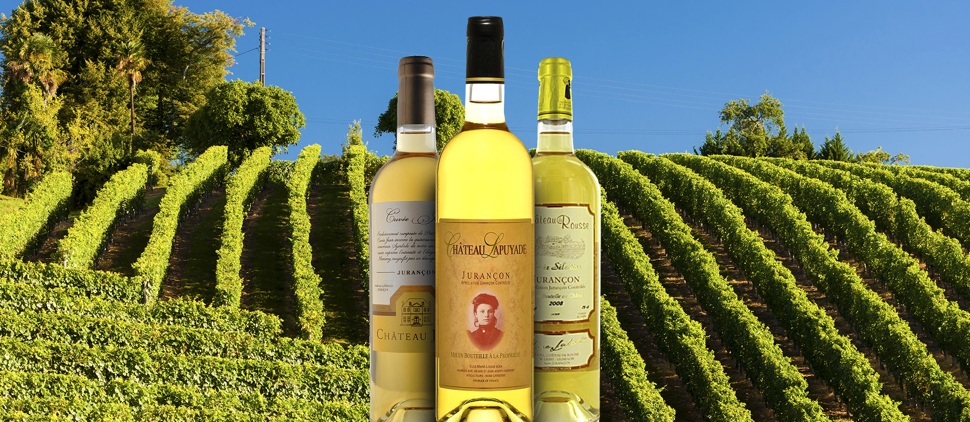 Jurançon Moelleux | Local Wine Appellation From Jurançon, France