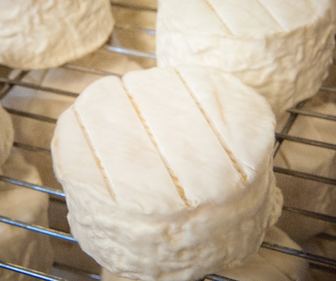 American Bloomy Rind Cheeses: 72 Bloomy Rind Cheese Types in United ...