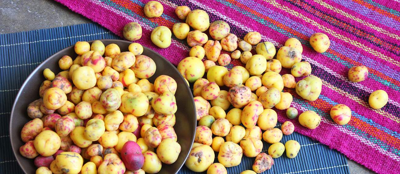 Papas Andinas | Local Potato From Argentine Northwest, Argentina