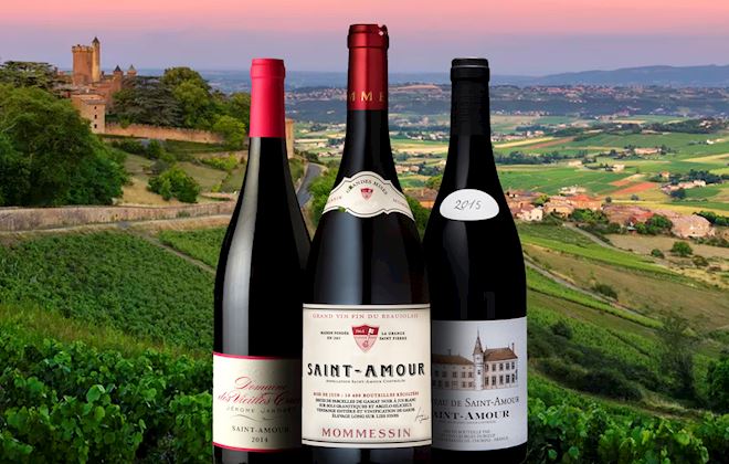 French Red Wines: 74 Red Wine Types in France | TasteAtlas