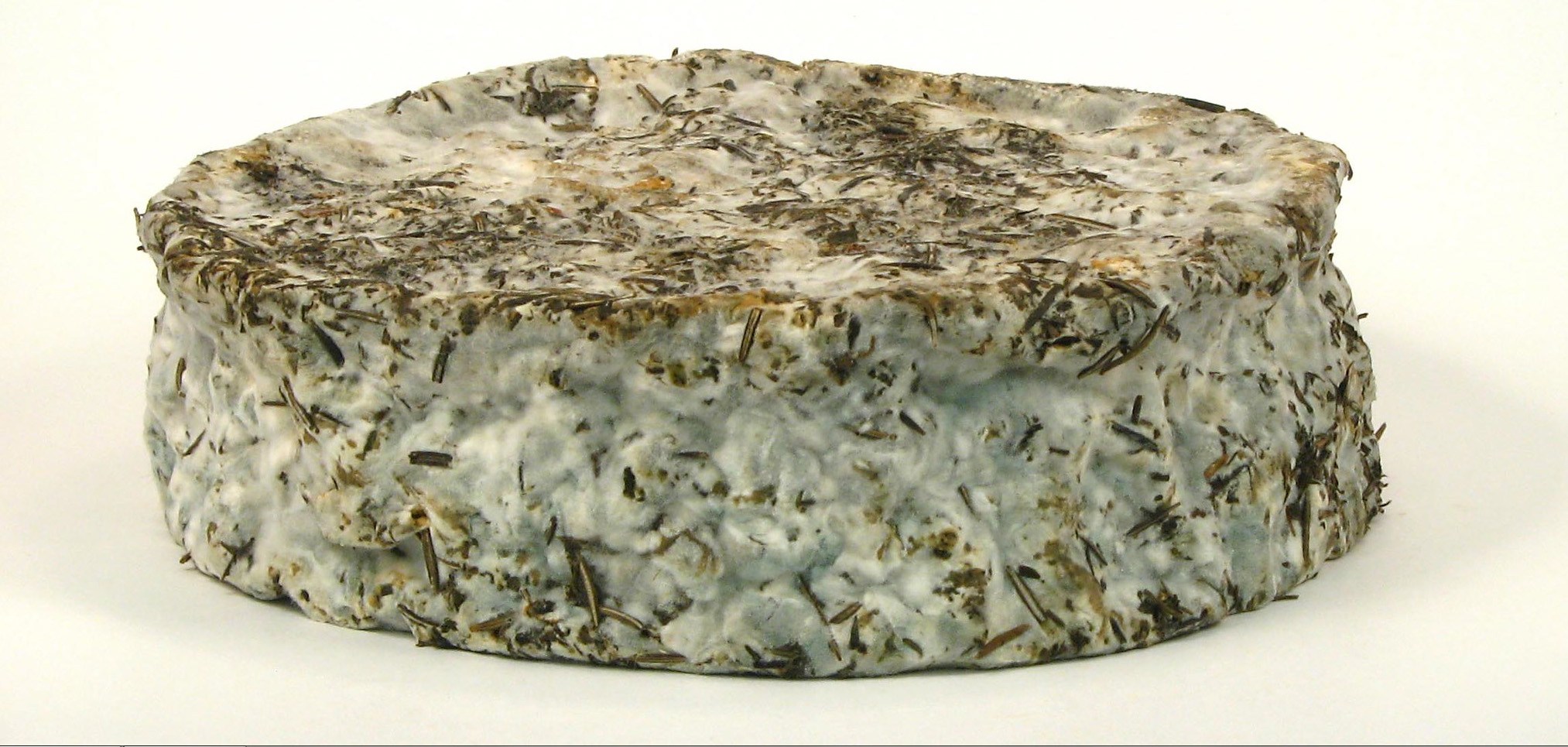 Canadian Cheeses: 34 Cheese Types in Canada | TasteAtlas