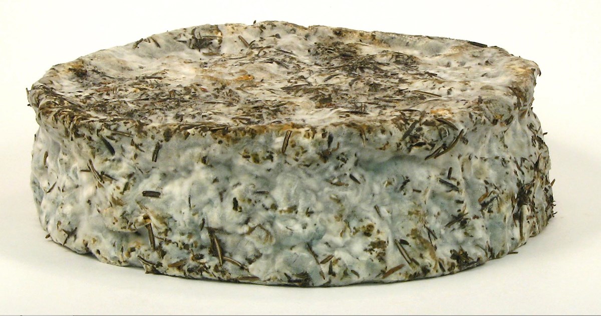 Canadian Cheeses: 34 Cheese Types in Canada | TasteAtlas