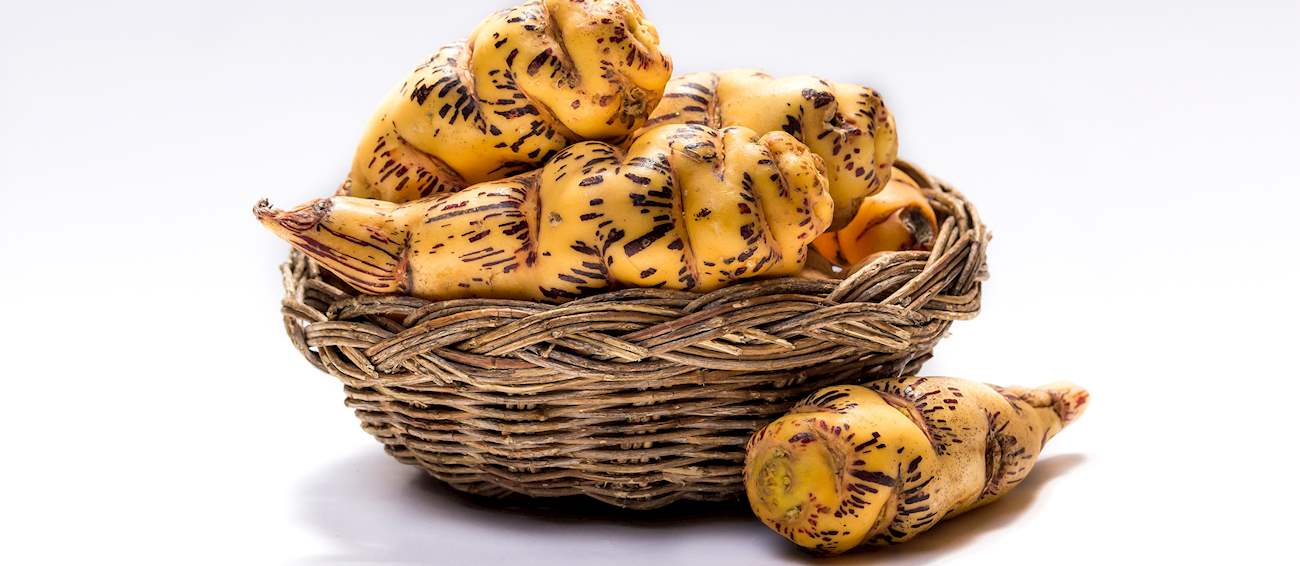 Mashua | Local Tuber From Peru