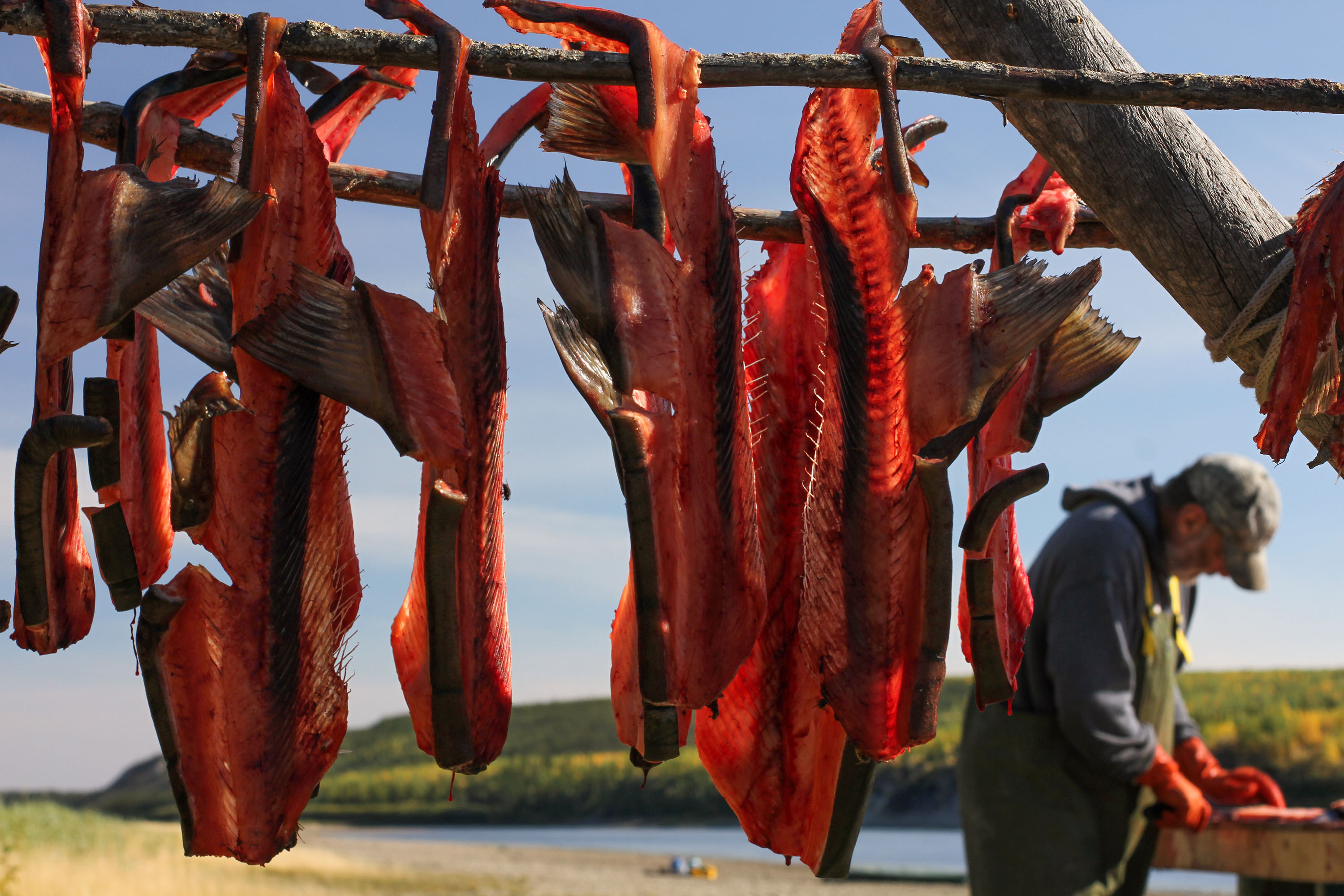 Pacific Smoked Salmon | Local Smoked Salmon From Alaska, United States ...