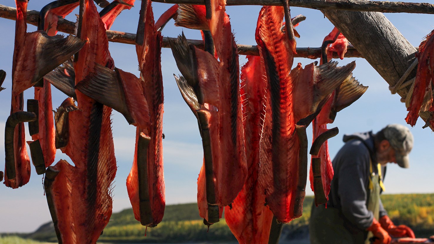 Top 100 Seafood in the World - TasteAtlas