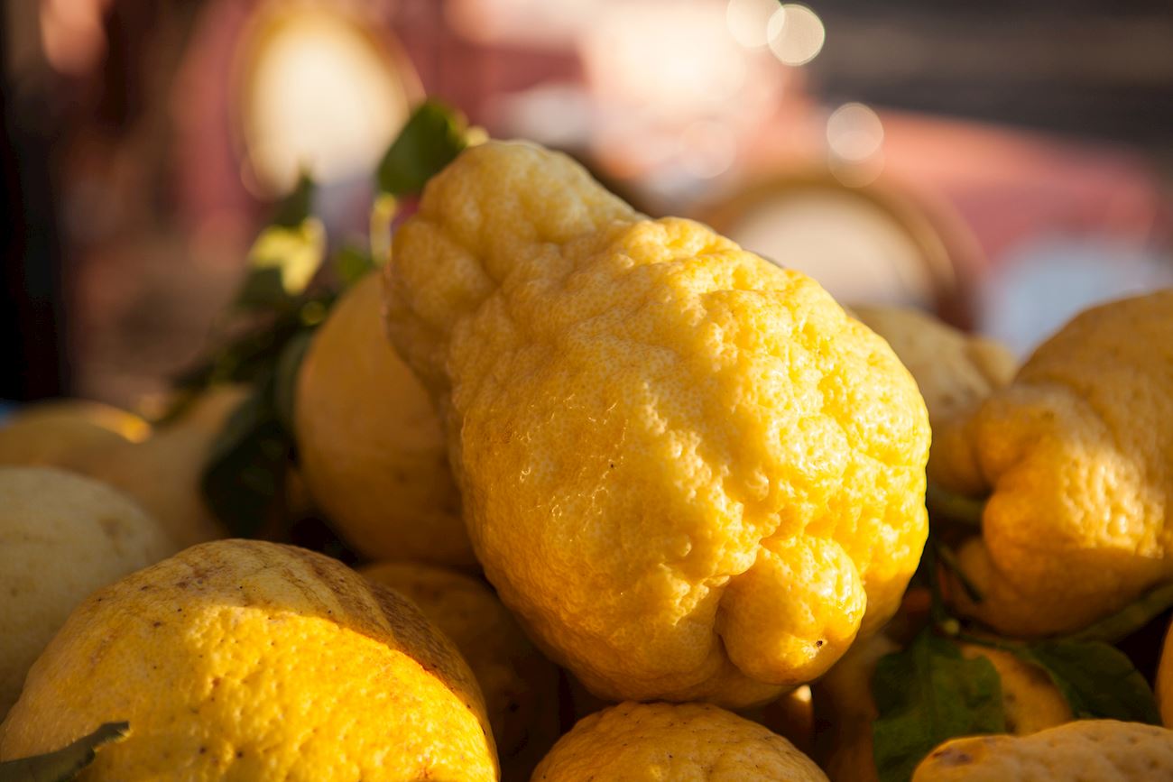 Limone Costa D'Amalfi | Local Lemon From Province of Salerno, Italy