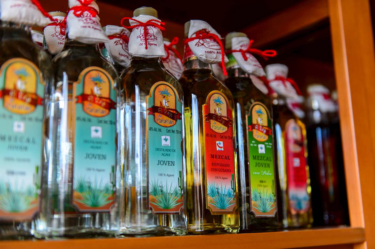 Mezcal | Local Spirit From Oaxaca, Mexico