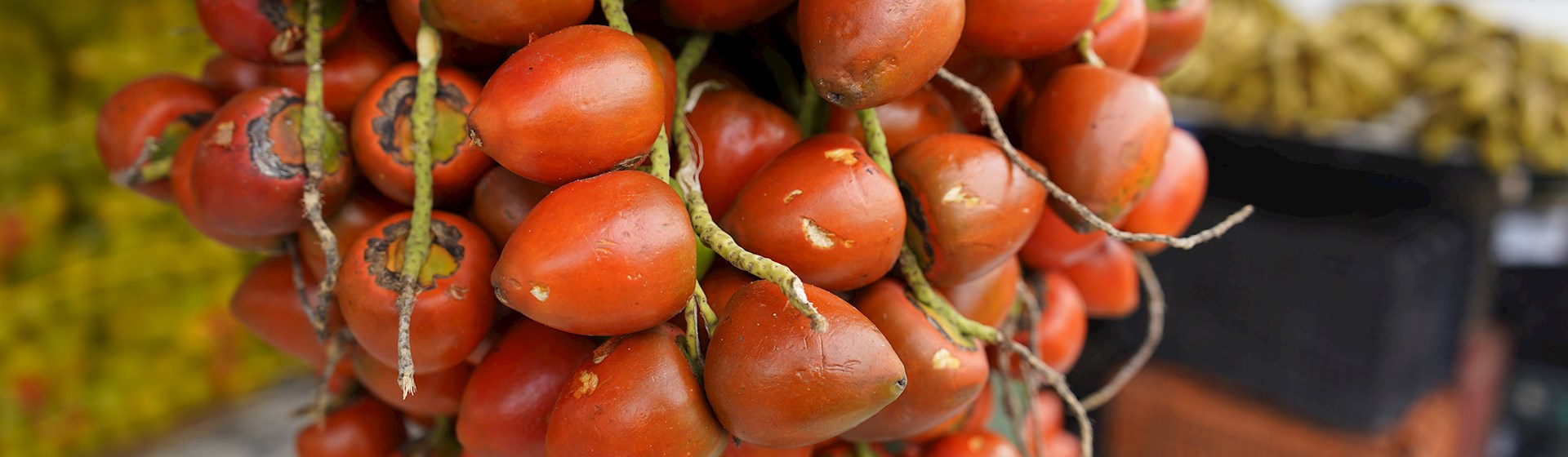 3 Best Fruits in Nicaragua - TasteAtlas