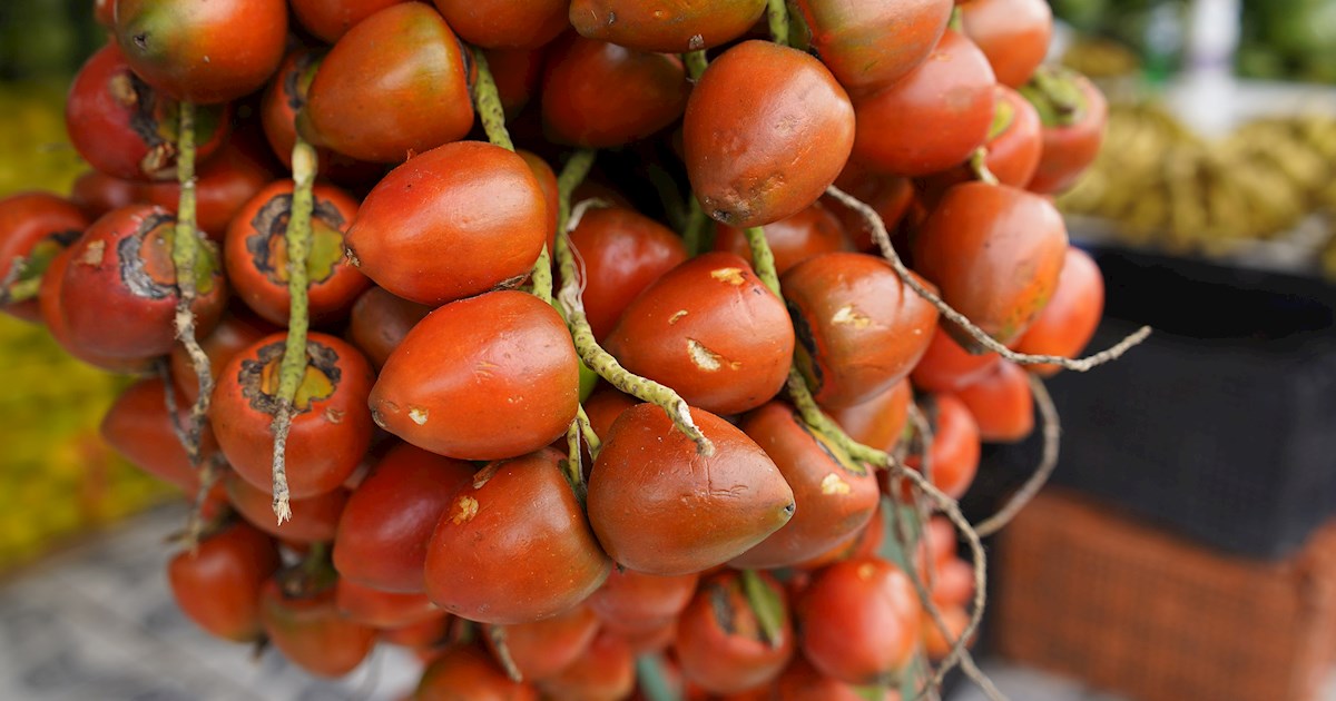 3 Worst Rated Ecuadorian Tropical Fruits - TasteAtlas