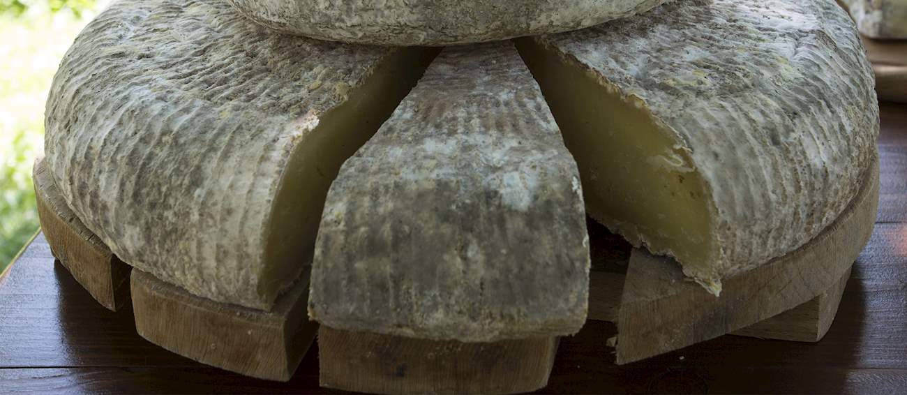 Cherni Vit | Local Cheese From Cherni Vit, Bulgaria