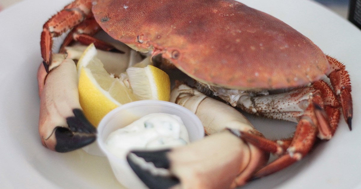 Devon Crab | Local Saltwater Crab From Devon, England | TasteAtlas