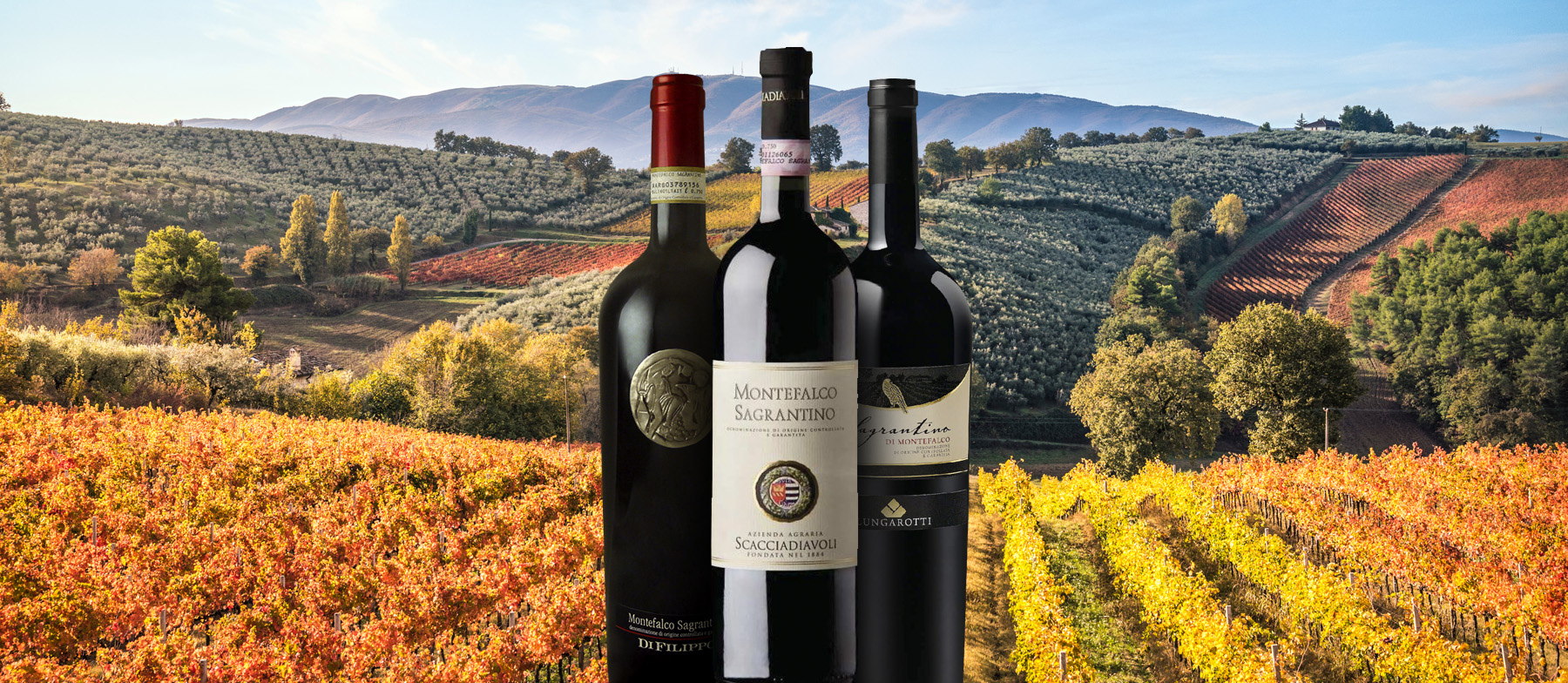 Sagrantino | Local Wine Variety From Province of Perugia, Italy