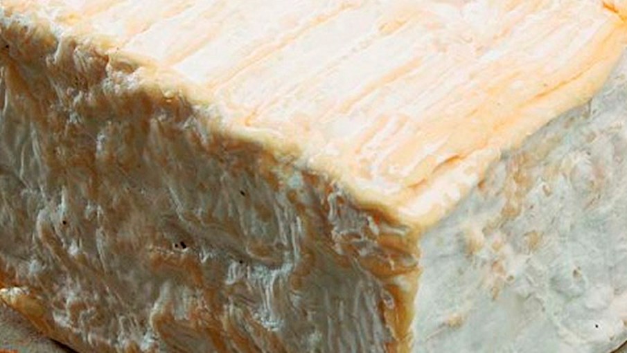 50 Most Popular European Bloomy Rind Cheeses - TasteAtlas