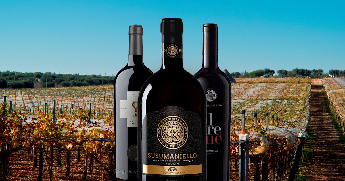 Susumaniello | Local Wine Variety From Apulia, Italy