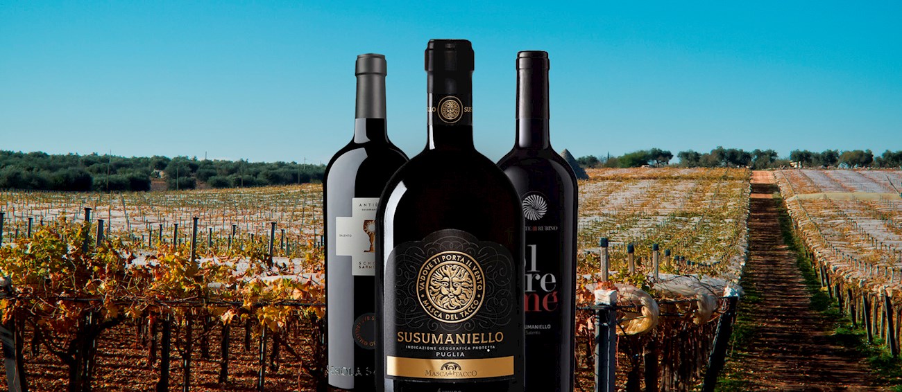 Susumaniello | Local Wine Variety From Apulia, Italy